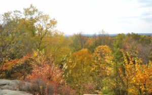 11 FASCINATING Facts About Cuyahoga Valley National Park