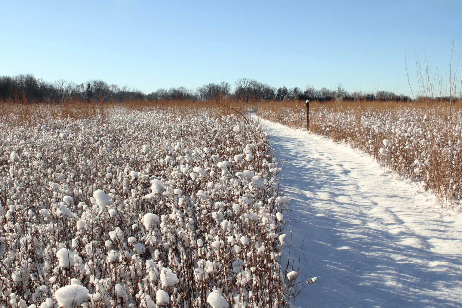 10 FASCINATING Facts About Indiana Dunes National Park