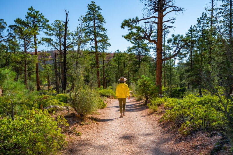 20 Things to Do at Bryce Canyon National Park
