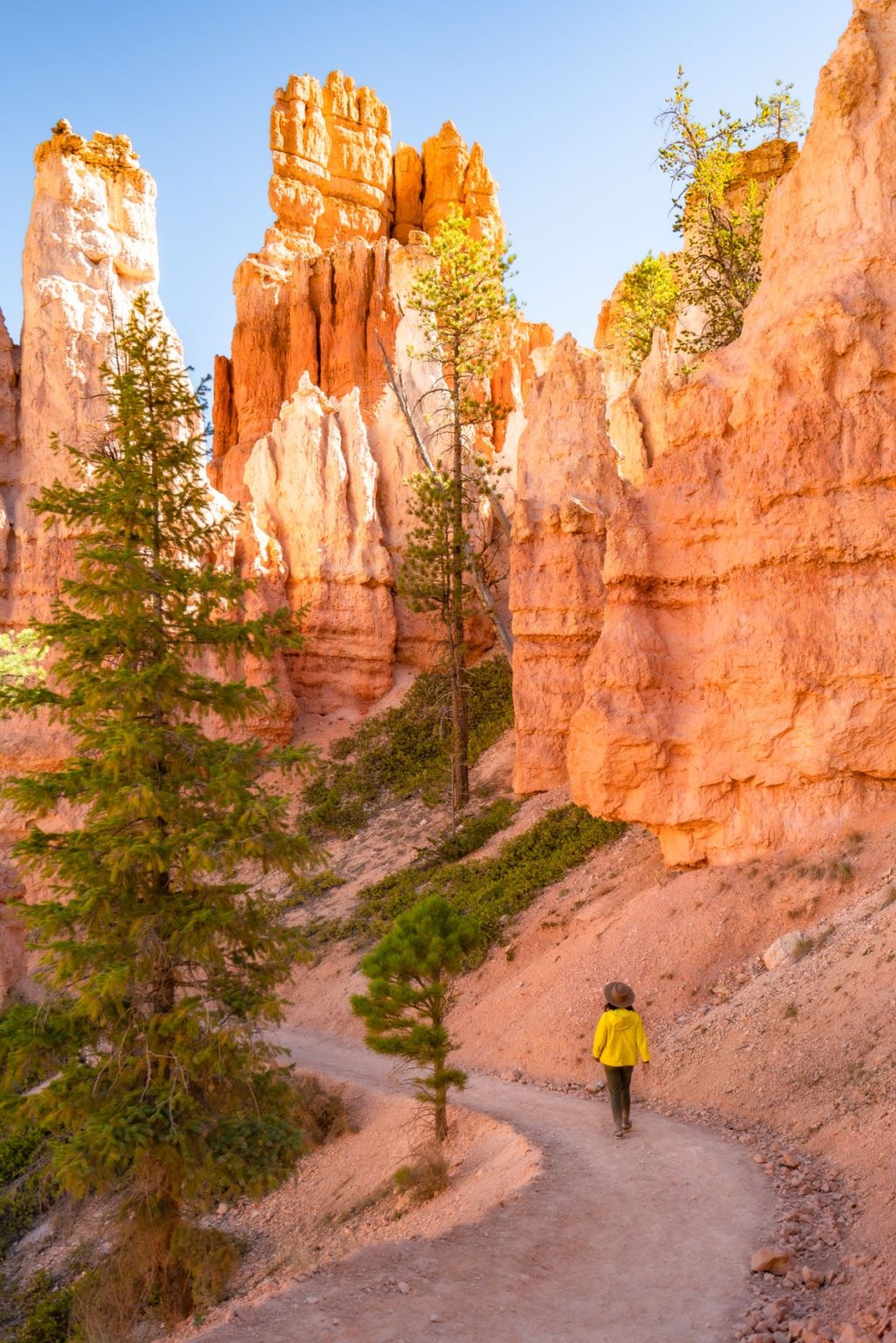 Hiking the Epic Navajo Loop Trail in Bryce Canyon