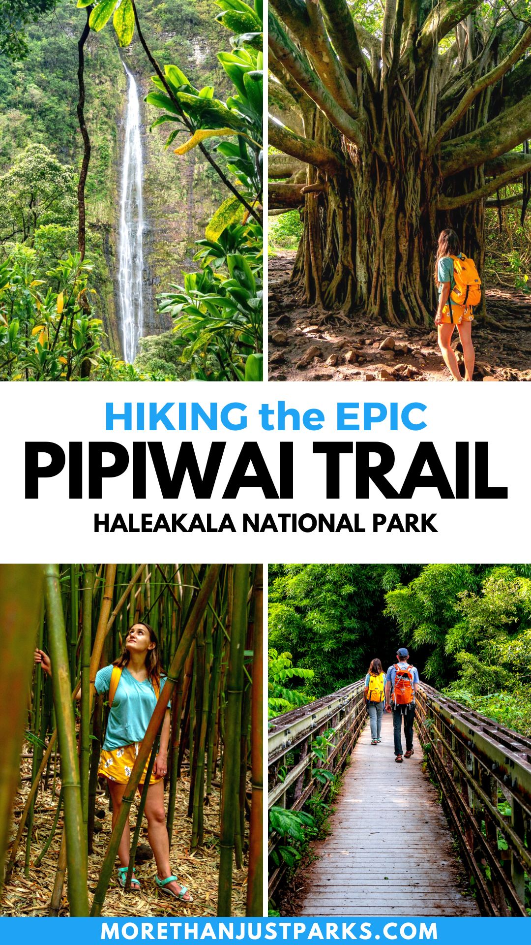 PIPIWAI TRAIL: Bamboo Forest, Banyan Tree, & Waimoku Falls