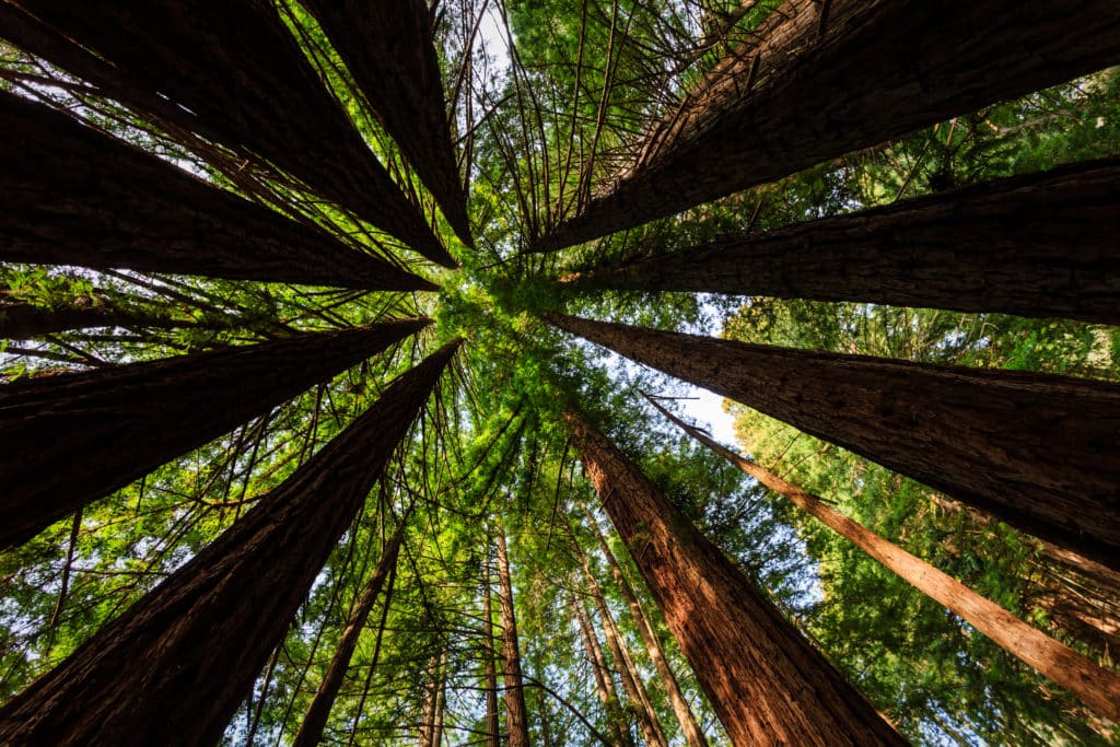 20 MUST-SEE Historic Sites In California (Expert Guide + Photos)