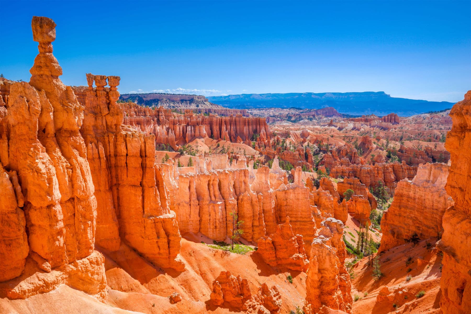 15 SURPRISING Facts About Bryce Canyon National Park