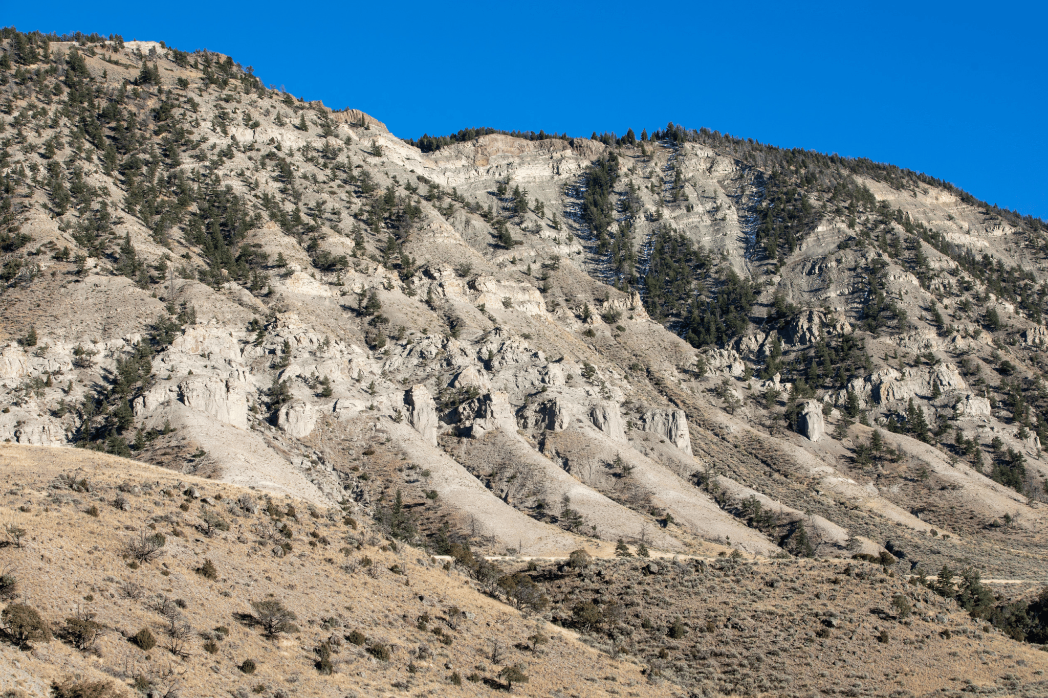 18 Yellowstone National Park Facts You Probably Didn't Know