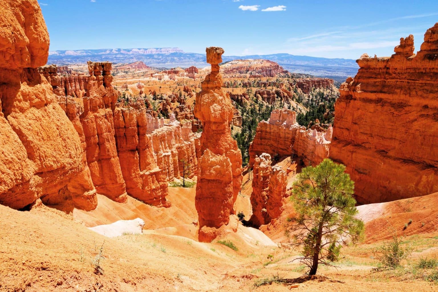 20 EPIC Things to Do at Bryce Canyon National Park (+ Photos)