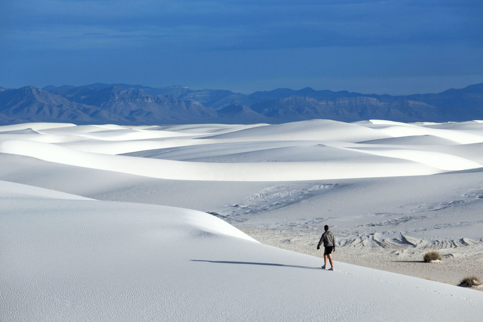 10 FANTASTIC Facts About White Sands National Park
