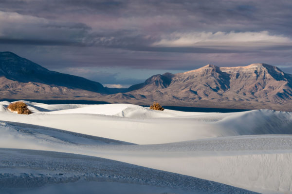 10 FANTASTIC Facts About White Sands National Park