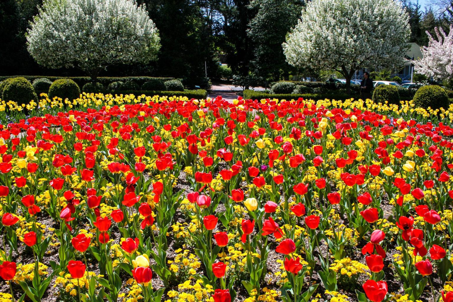 10 MUST-SEE Historic Sites In West Virginia (Guide + Photos)