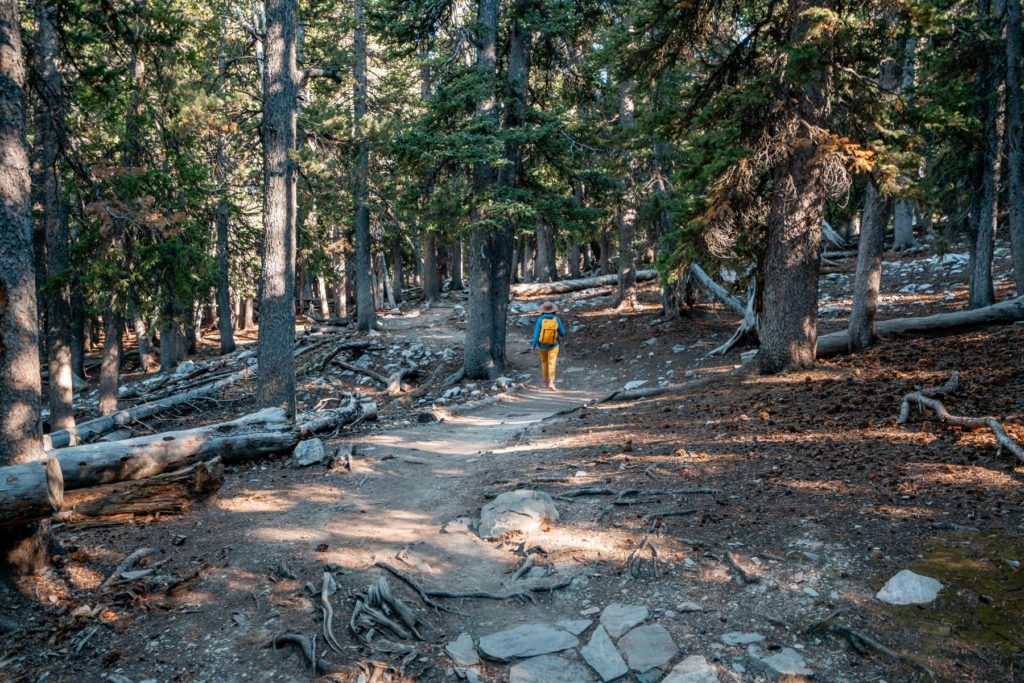 20 EPIC Things to Do in Great Basin National Park (+ Itinerary)