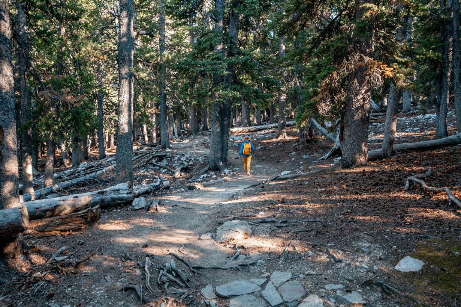 20 EPIC Things to Do in Great Basin National Park (+ Itinerary)