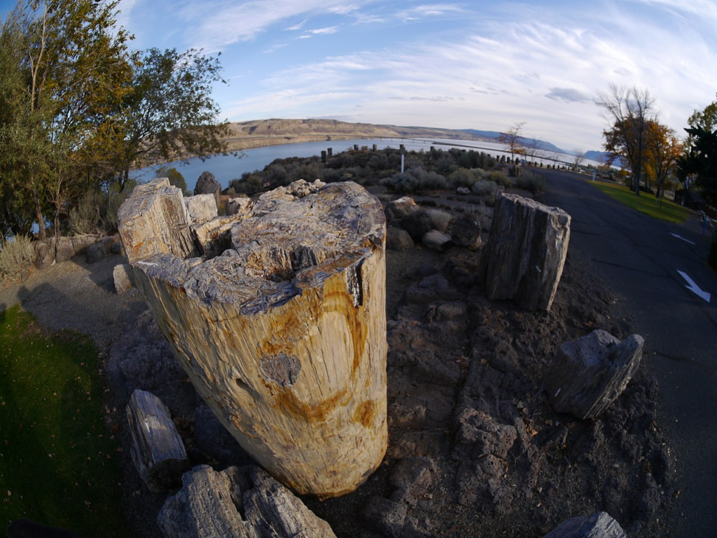 15 MUST-SEE Historic Sites In Washington (Guide + Photos)