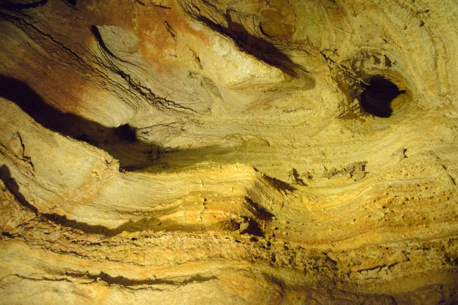 10 AMAZING Facts About Wind Cave National Park