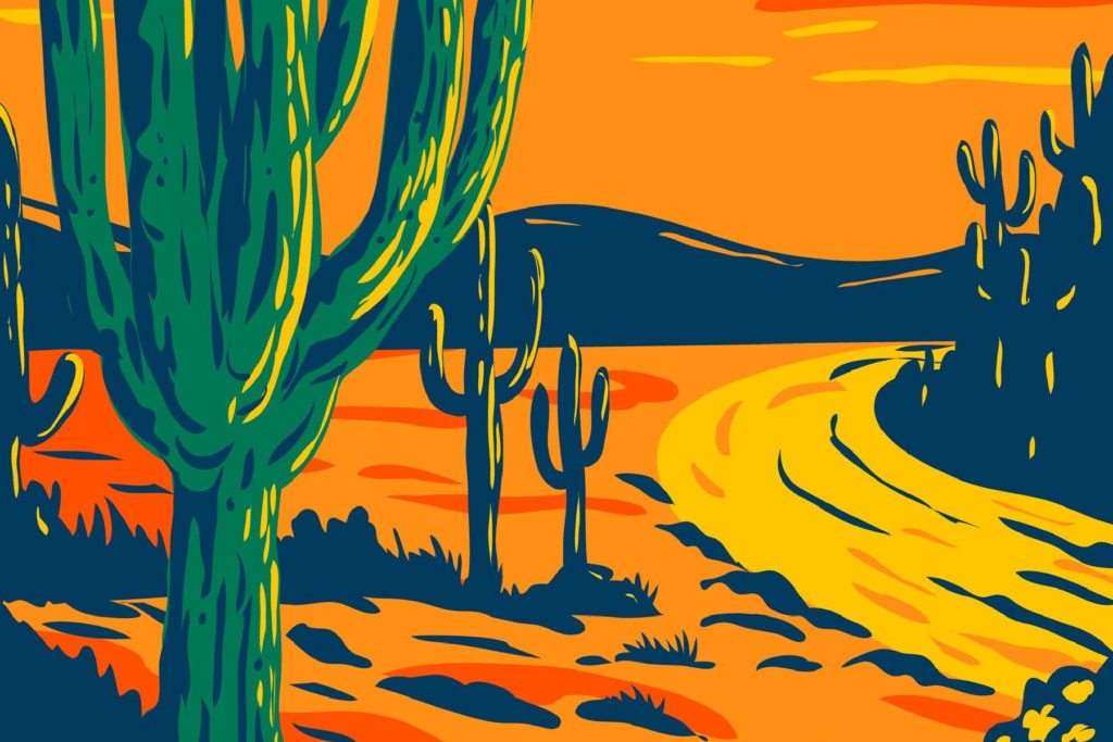 11 FASCINATING Facts About Saguaro National Park You'll Love