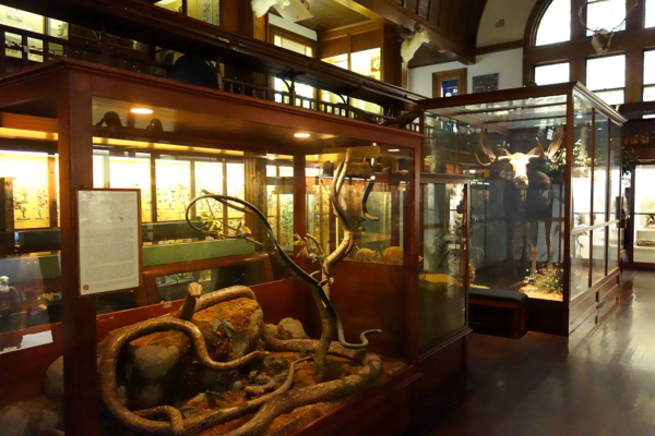 15 MUST-SEE Historic Sites In Vermont (Guide + Photos)