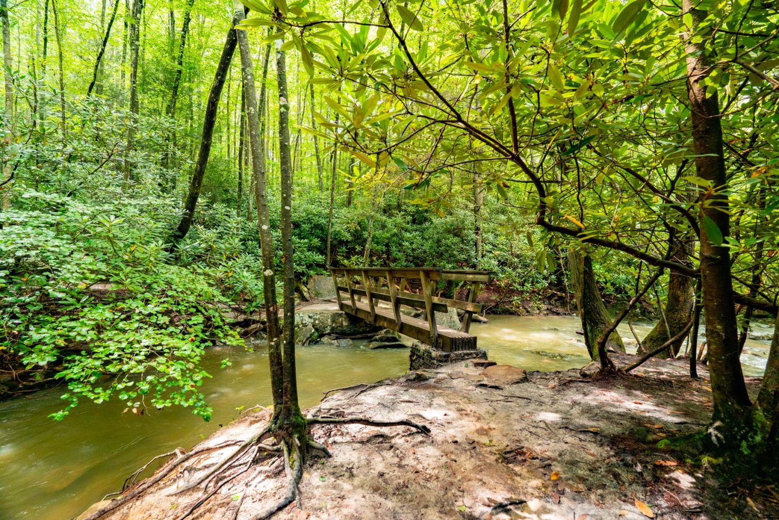 20 EPIC Things to Do in New River Gorge National Park (+ Video)