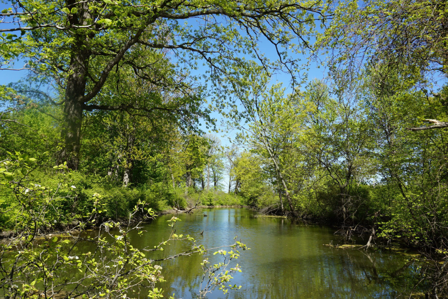 20 MUST-SEE Michigan Landmarks (Expert Guide + Photos)