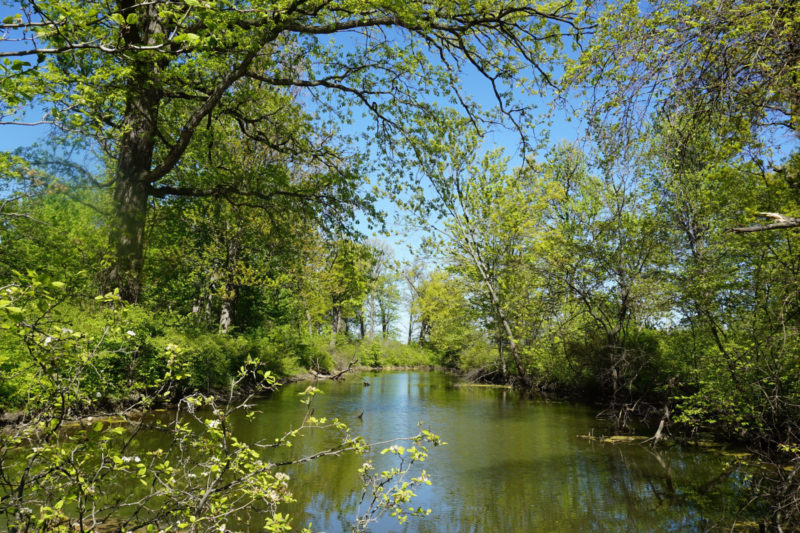 20 MUST-SEE Michigan Landmarks (Expert Guide + Photos)