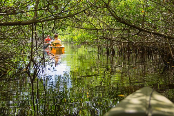 20 EPIC Things to Do in Everglades National Park (Helpful Guide)