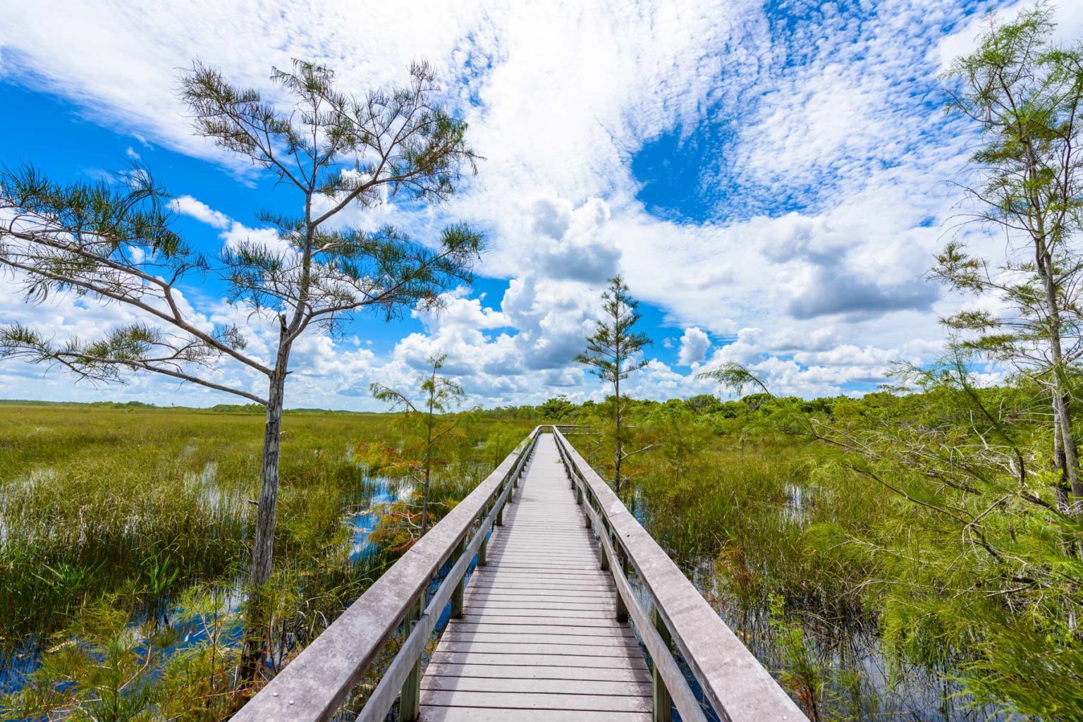20 EPIC Things to Do in Everglades National Park (Helpful Guide)