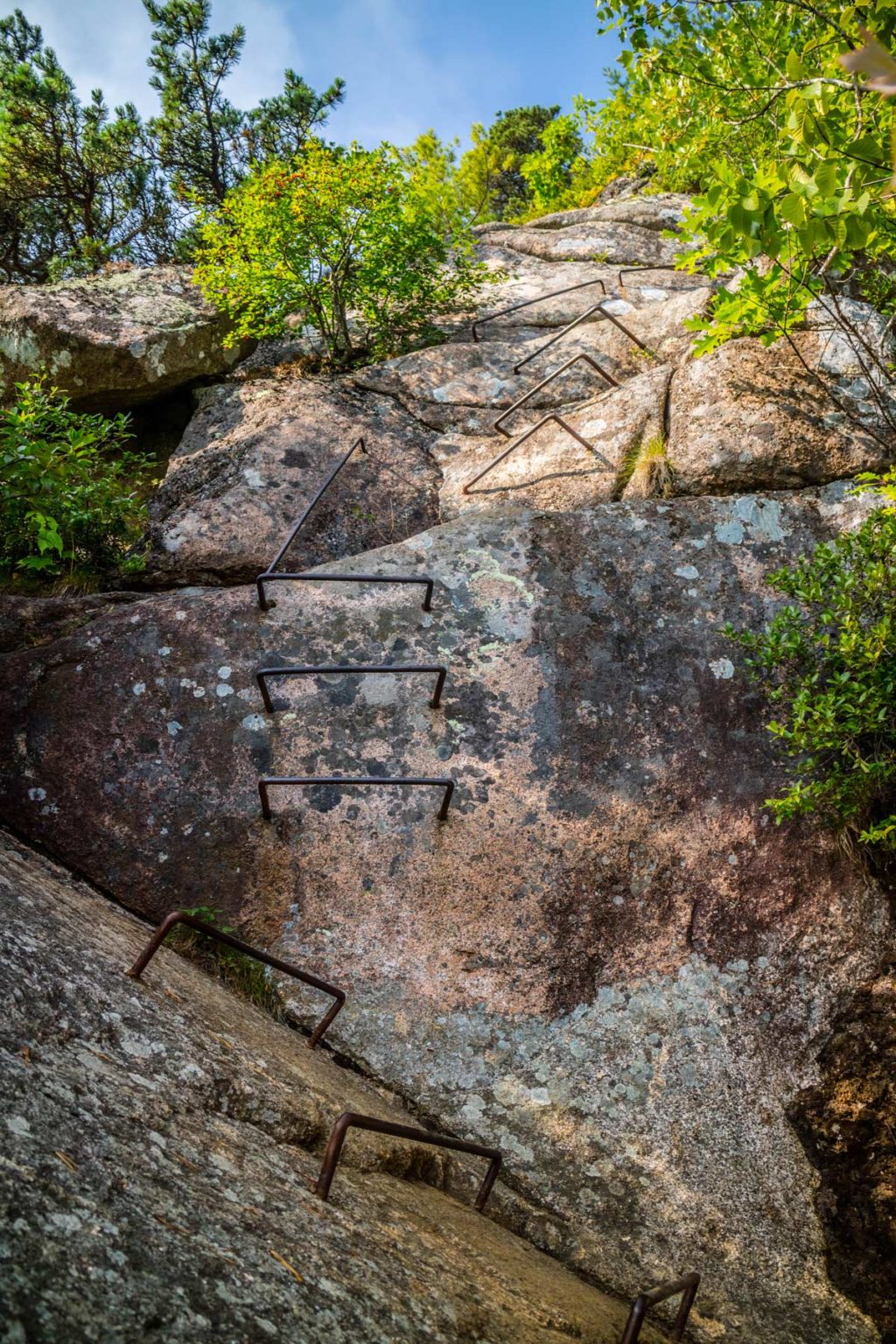 15 BEST Hikes in Acadia National Park (+ Hiking Tips)