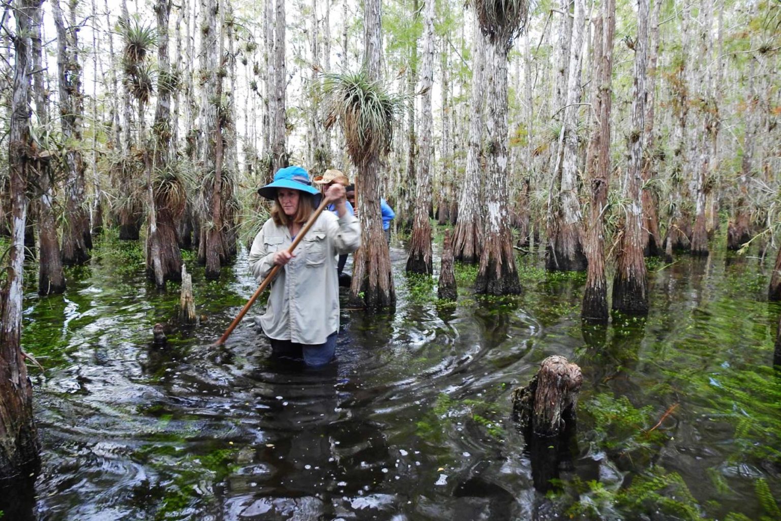 20 EPIC Things to Do in Everglades National Park (Helpful Guide)