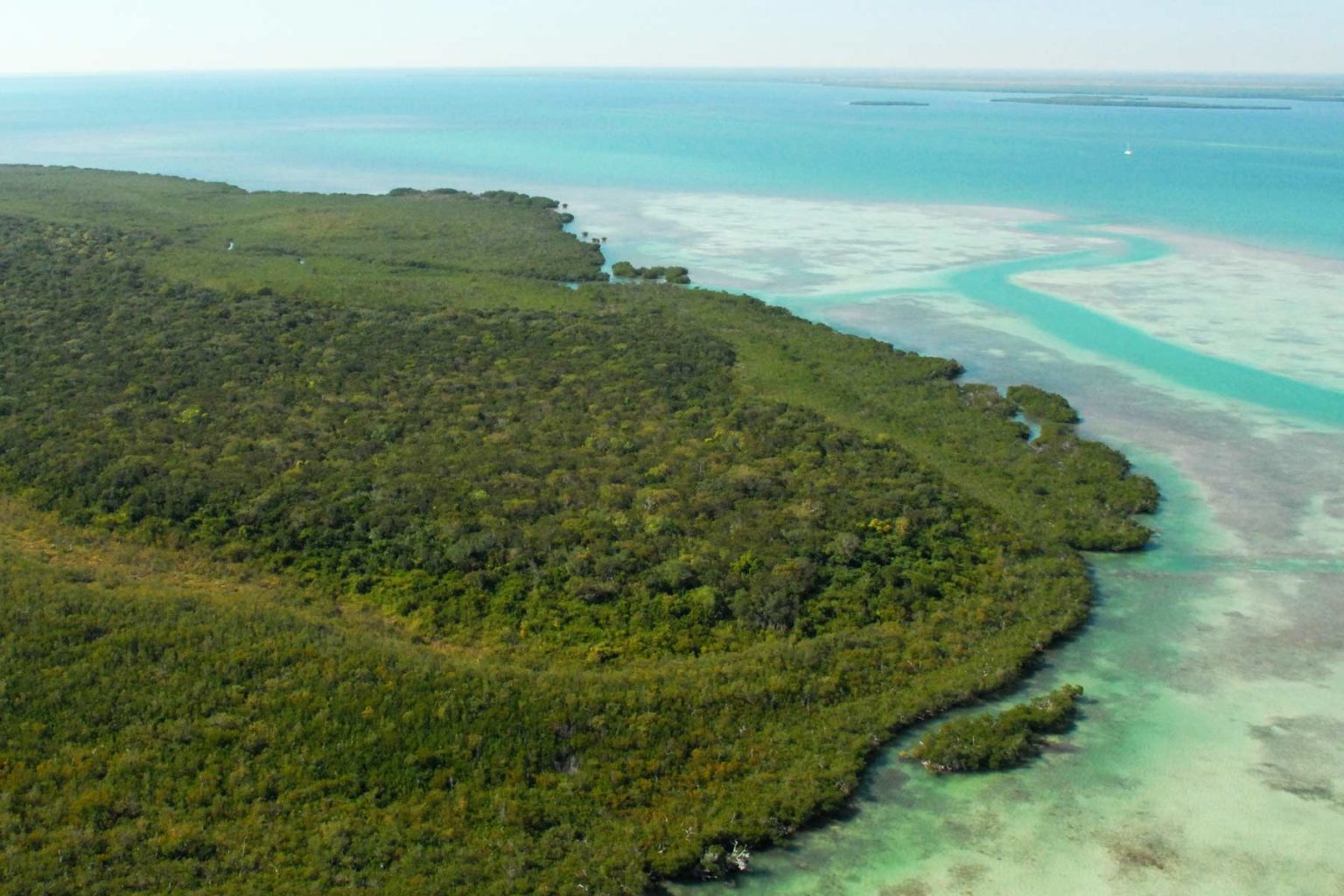 15 Epic Things to Do in Biscayne National Park (Helpful Guide)