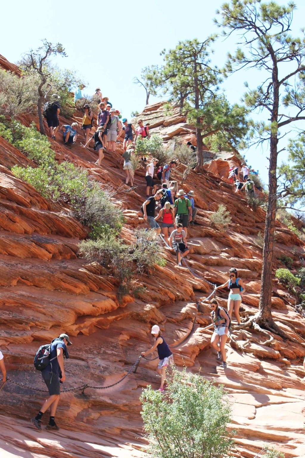 Why I Don't Recommend Hiking ANGELS LANDING (Honest Guide)