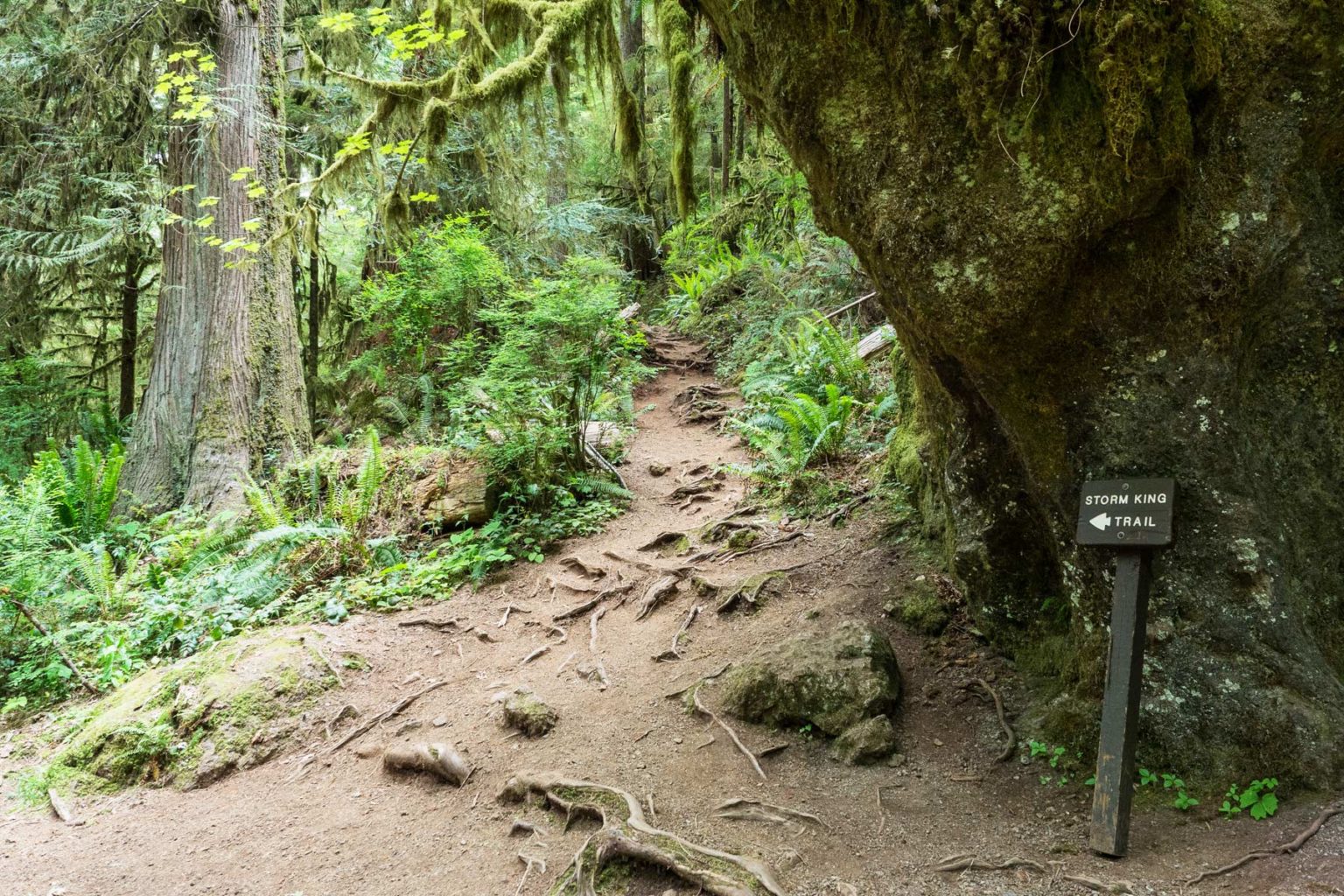 Hiking MOUNT STORM KING Olympic National Park (Honest Guide)