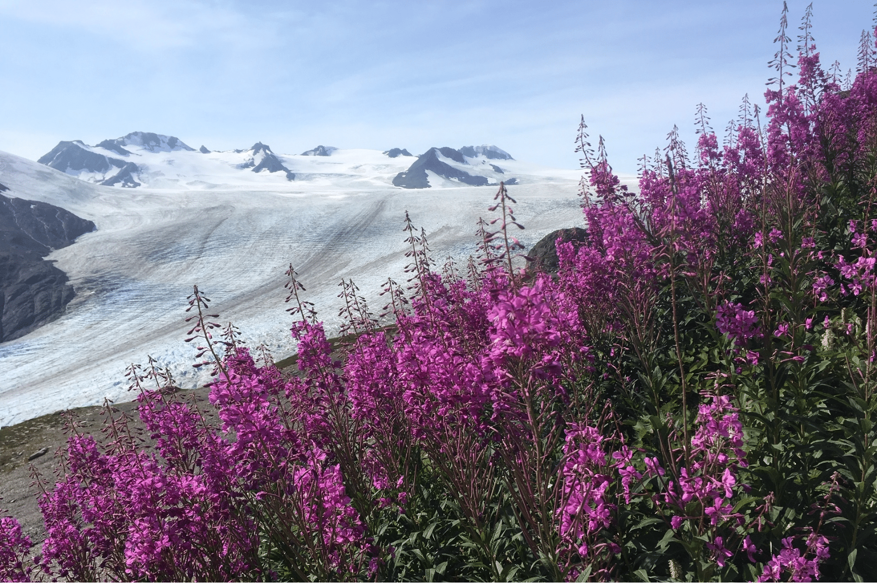 Hike the EPIC Harding Icefield Trail in Kenai Fjords (Honest Guide)
