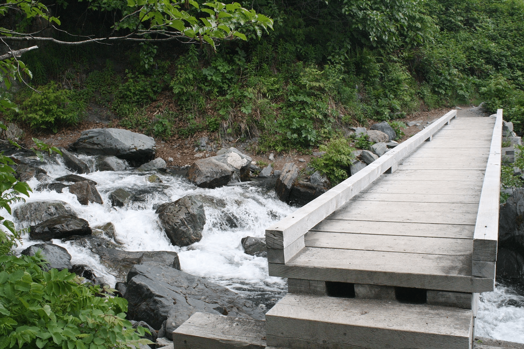 Hike the EPIC Harding Icefield Trail in Kenai Fjords (Honest Guide)