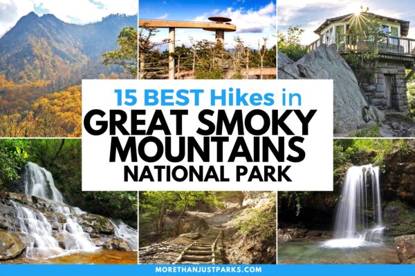 15 BEST Hikes in Great Smoky Mountains National Park (Ranked)