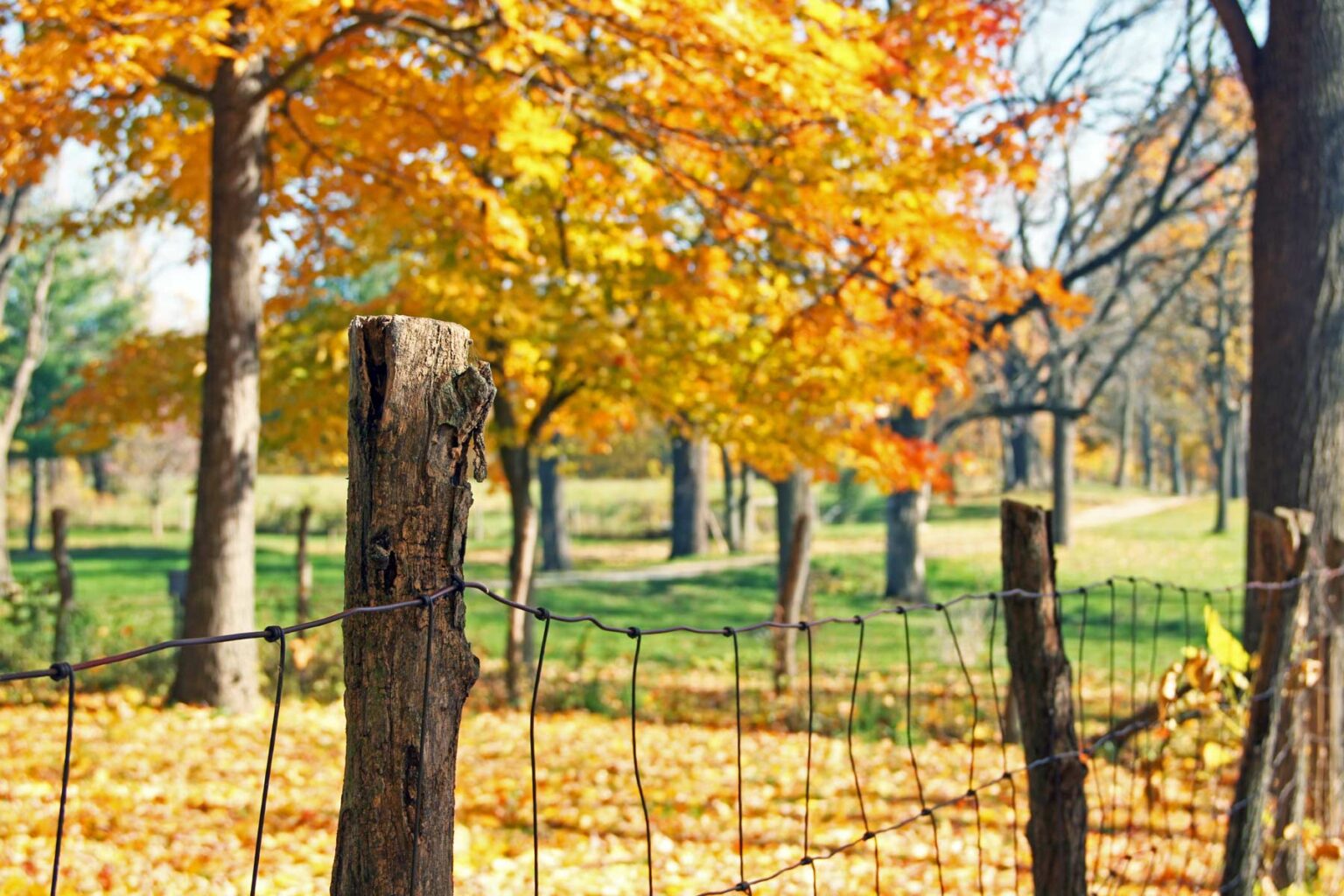 20 Fun Things to Do in Indiana Dunes National Park