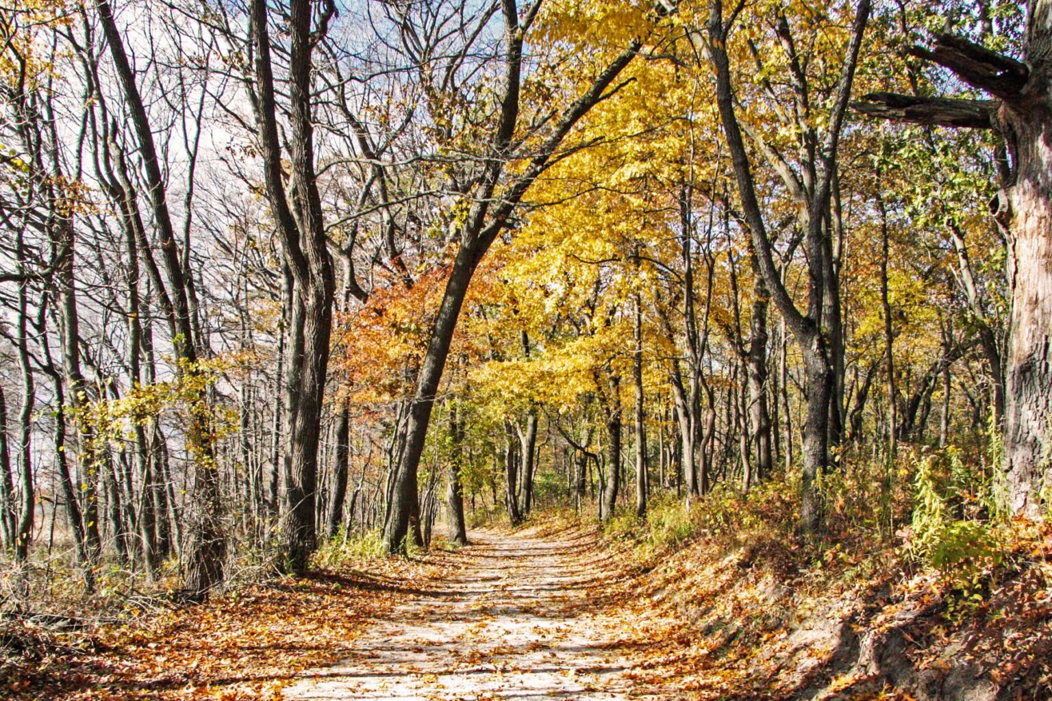 20 FUN Things to Do in Indiana Dunes National Park (Helpful Tips)