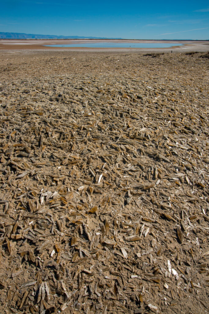 15 EPIC Things to Do in White Sands National Park (Helpful Guide)