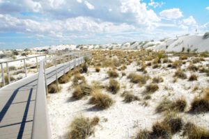 15 EPIC Things to Do in White Sands National Park (Helpful Guide)