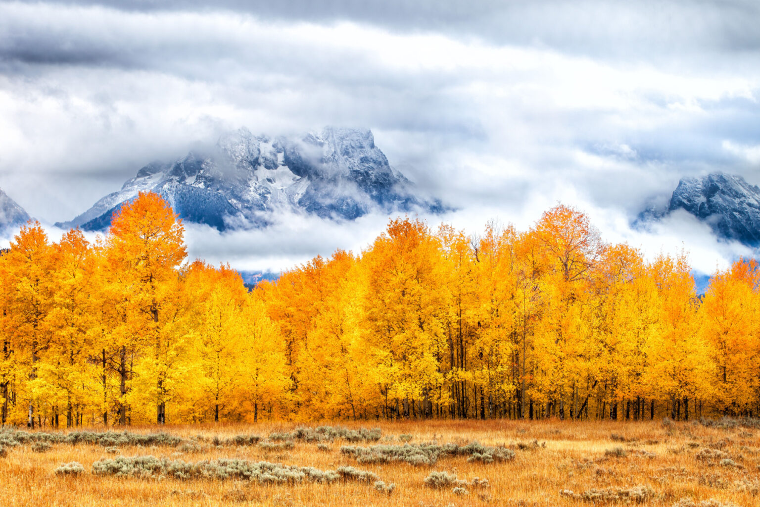 ULTIMATE Yellowstone in the Fall Guide (By Month + Photos )