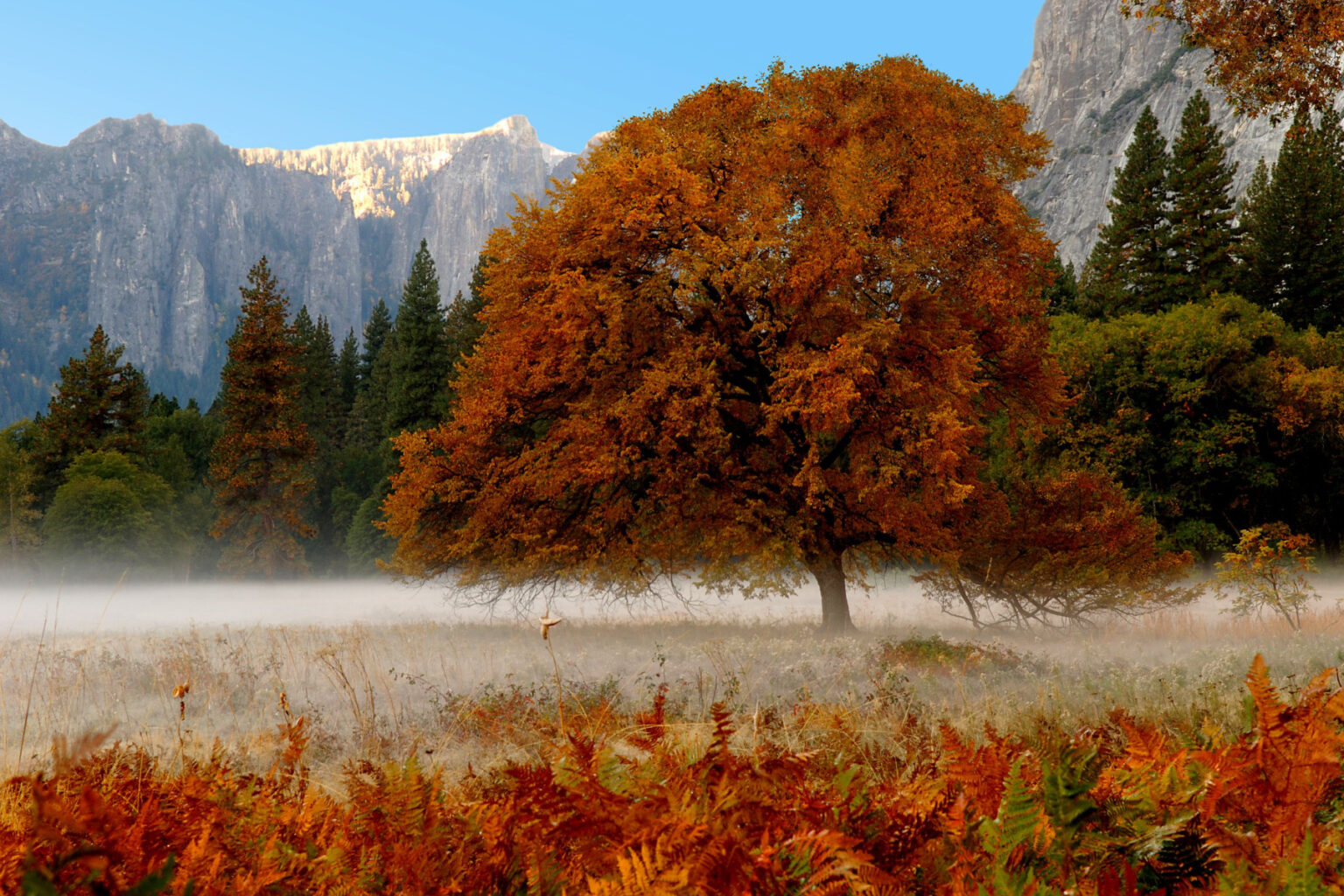 Visiting Yosemite in the Fall (Helpful Guide + Photos)