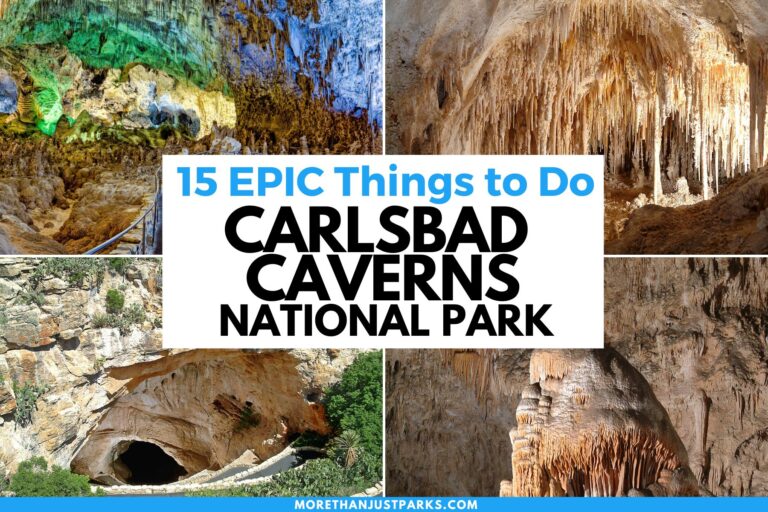 15 EPIC Things to Do In Carlsbad Caverns (Helpful Guide)