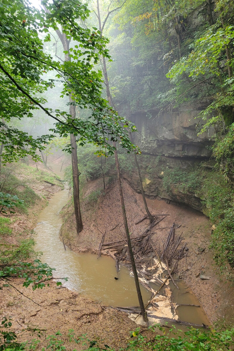 15 EPIC Things to Do in Mammoth Cave National Park (Honest Guide + Photos)