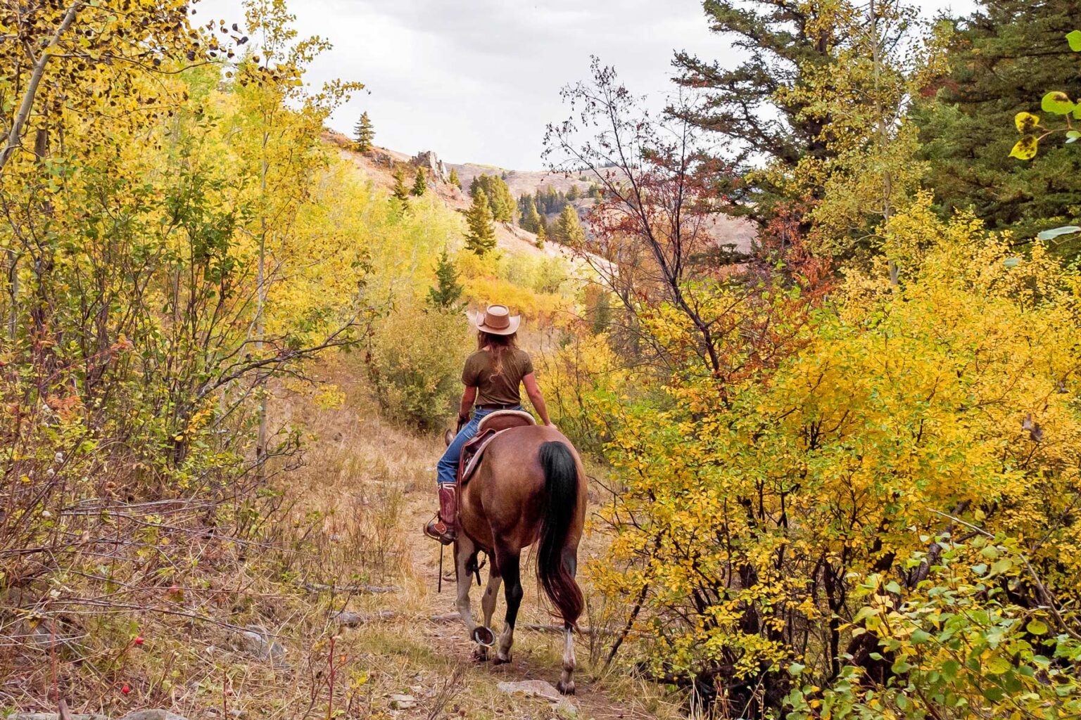 The Helena-Lewis & Clark National Forest Is Awe-Inspiring