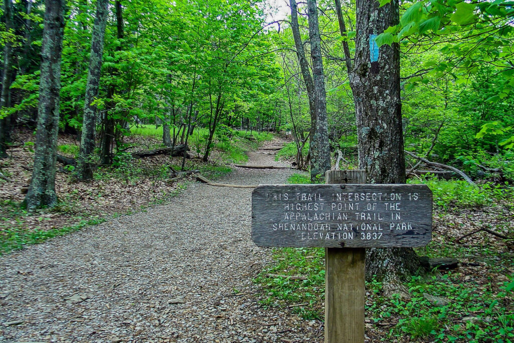 15 BEST Hikes Shenandoah National Park (Trail Guide + Photos)