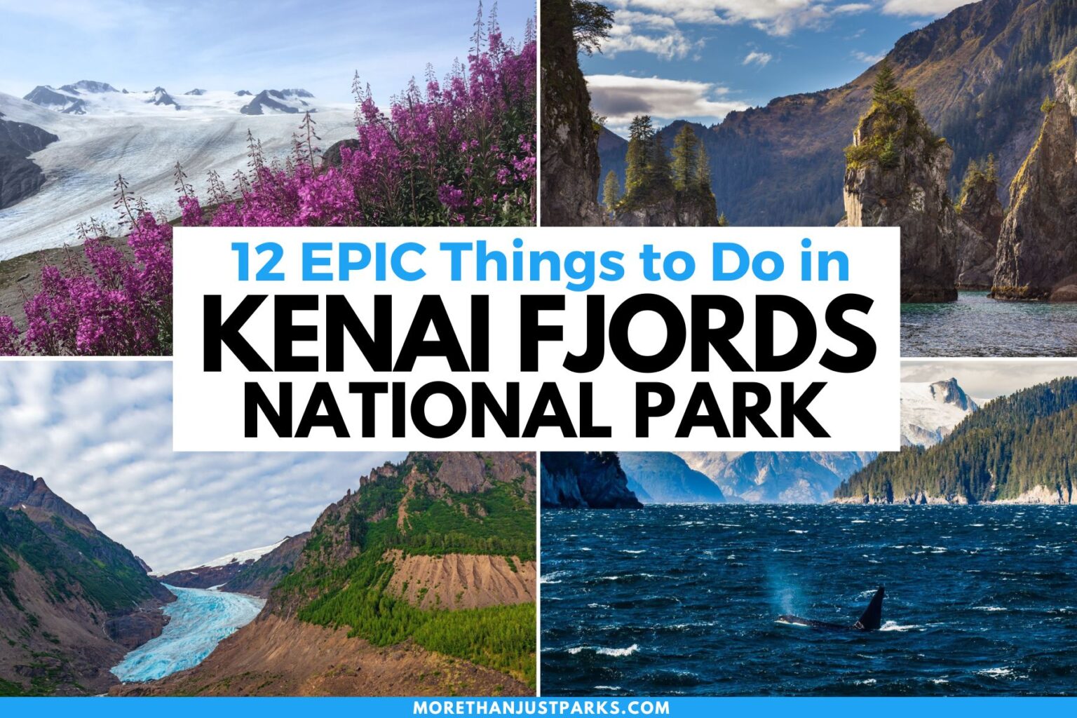 12 EPIC Things to Do in Kenai Fjords (Helpful Guide + Photos)