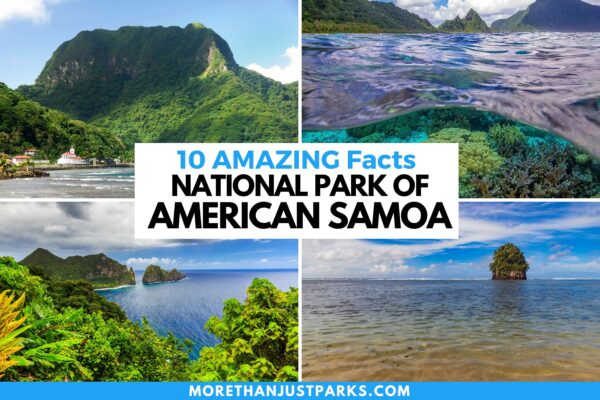 10 AMAZING Facts About the National Park Of American Samoa