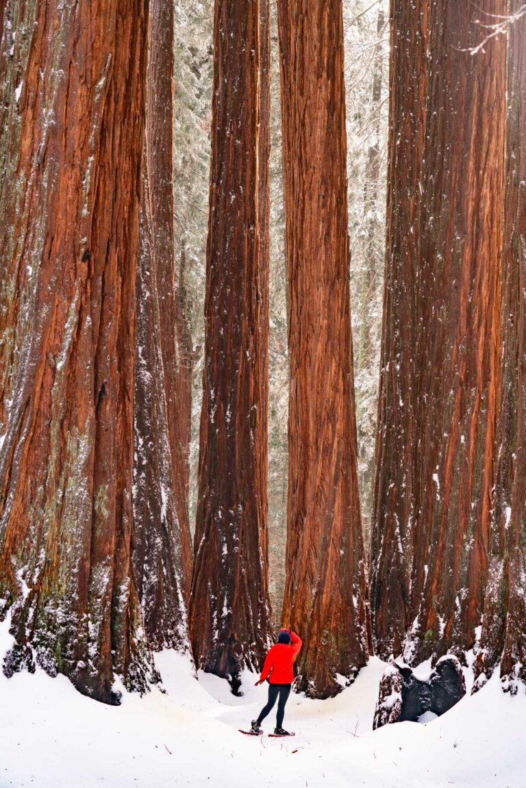 17 EPIC Things to Do in Sequoia National Park (Helpful Guide)