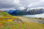 Hike the EPIC Harding Icefield Trail in Kenai Fjords (Honest Guide)