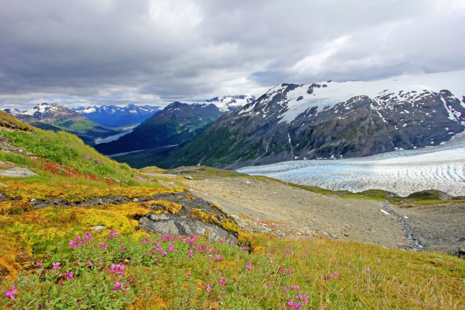 Hike the EPIC Harding Icefield Trail in Kenai Fjords (Honest Guide)