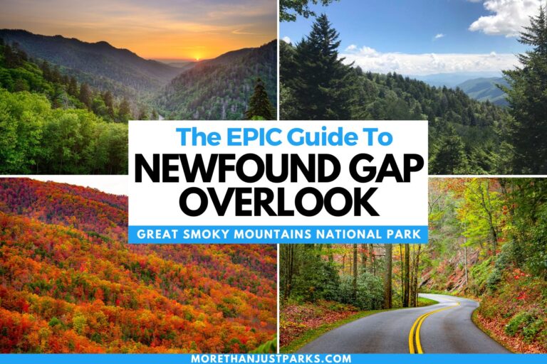 Visiting Newfound Gap Overlook (Video, Helpful Tips + Photos)