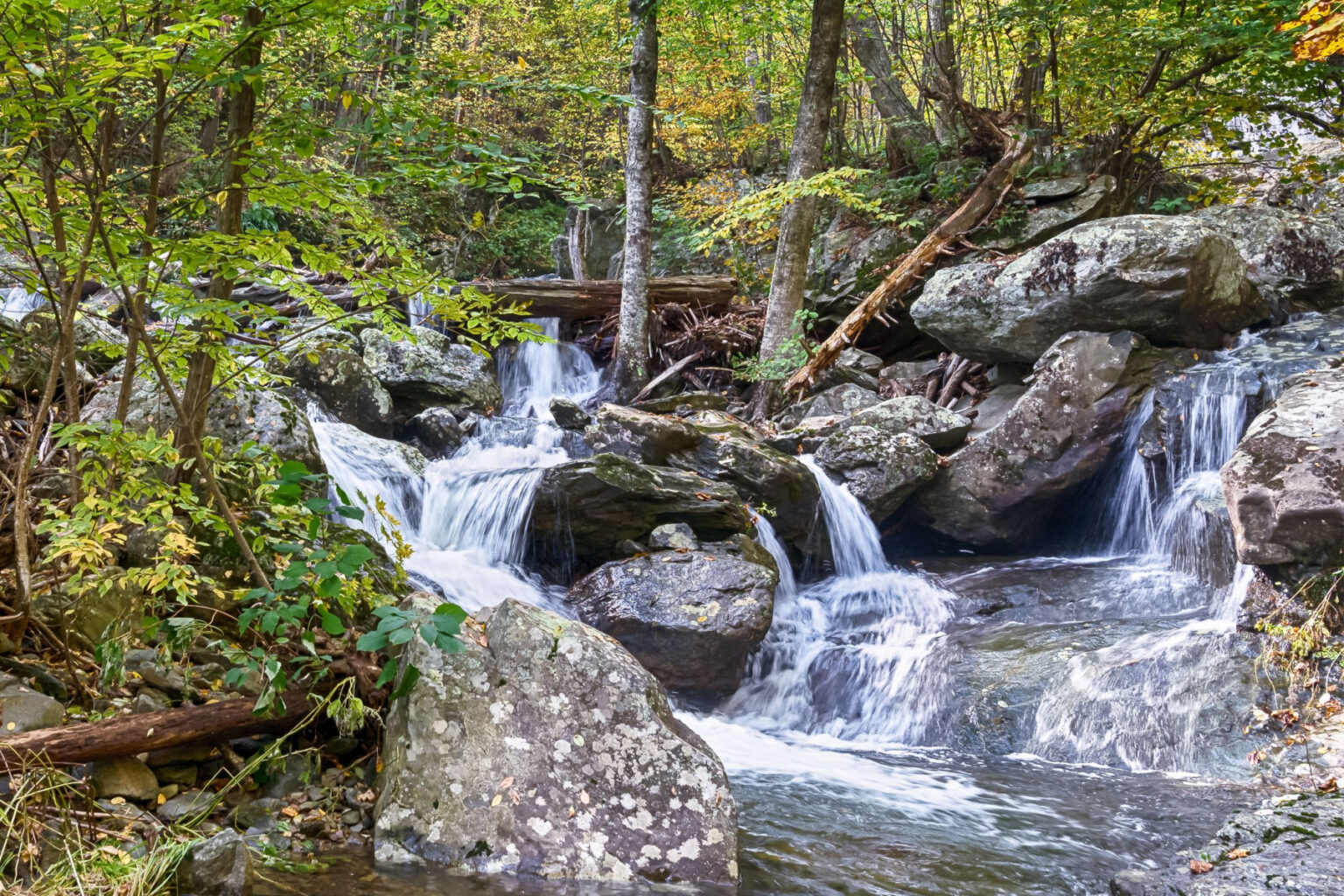 15 BEST Hikes Shenandoah National Park (Trail Guide + Photos)
