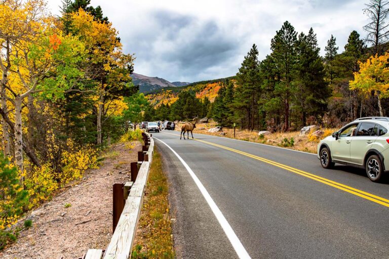The ULTIMATE Colorado Road Trip (+ 26 Scenic Byways)