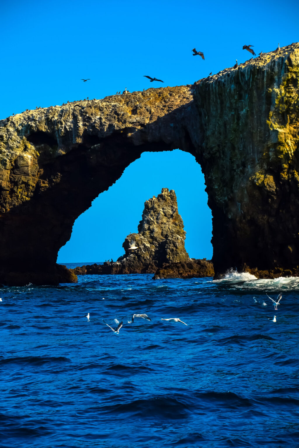 15 BEST Channel Islands Nat'l Park Things to Do (+Ferry Guide)